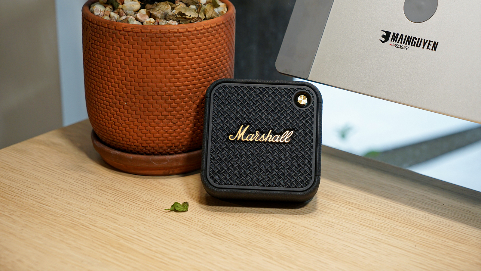Trên tay loa di động bluetooth Marshall Willen II | mainguyen.vn